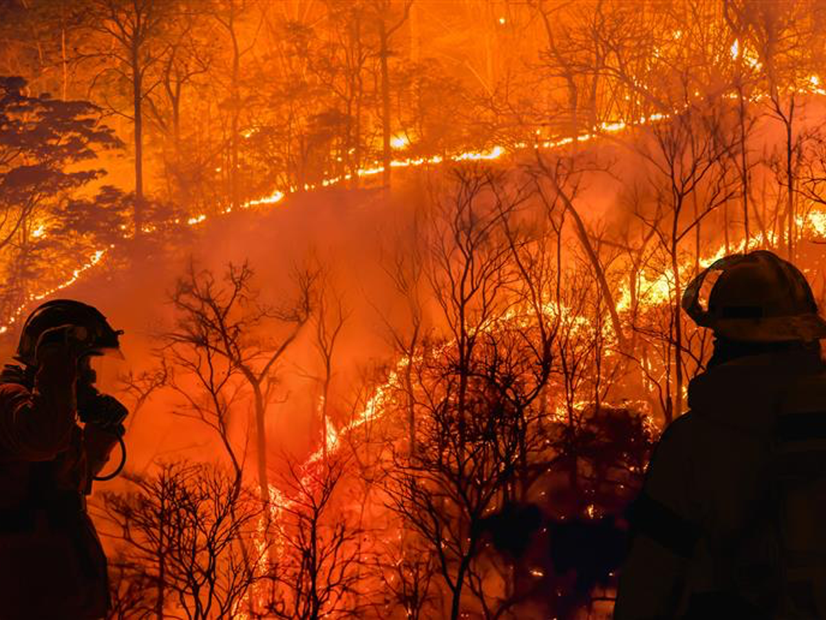LA wildfires pose personal lines opportunity for captives – Allan Smith - Captive Intelligence